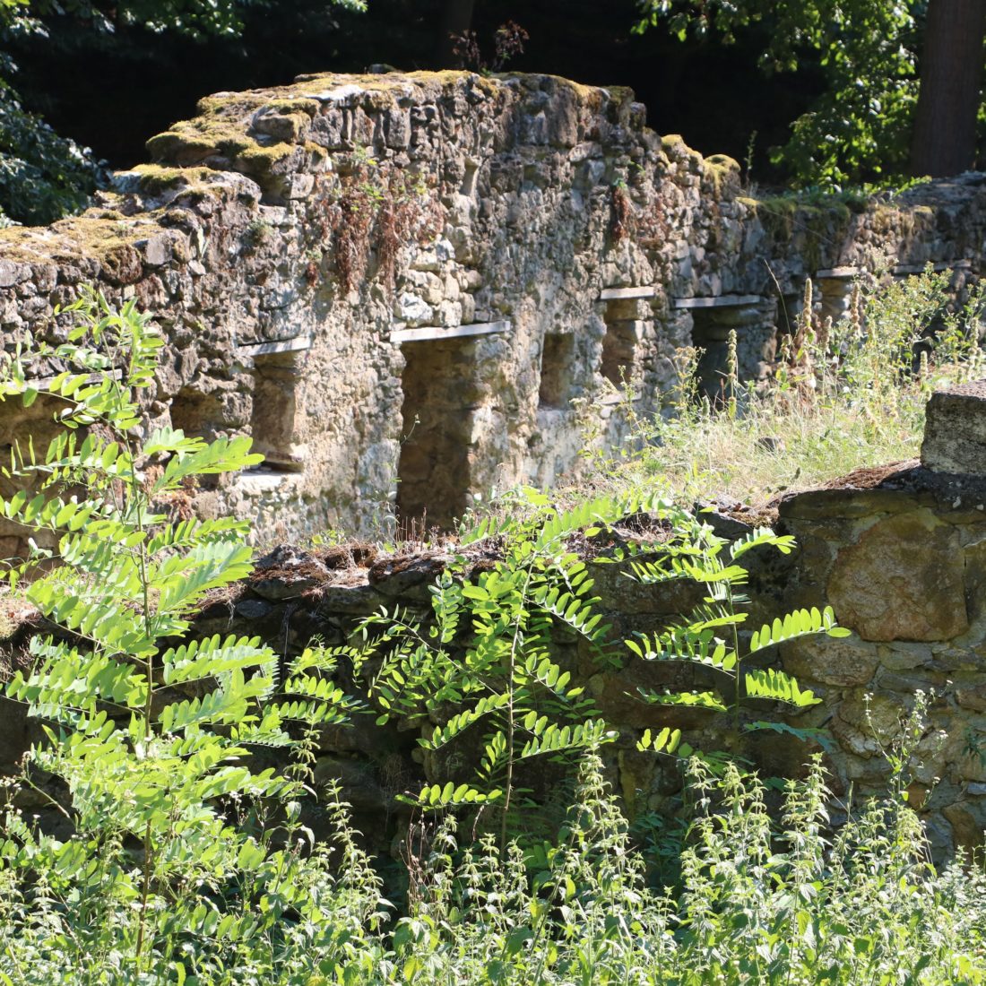 Beogradske priče - Kaldrma.rs