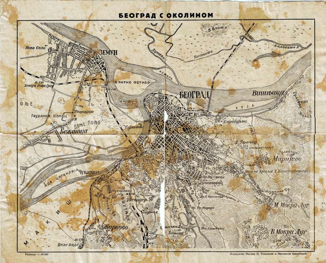 Ada sa 133 vrste ptica na dohvat ruke od centra Beograda - Kaldrma.rs