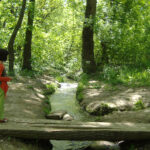 Beogradske priče - Kaldrma.rs