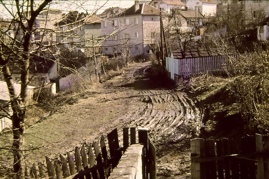 U mraku poroka na periferiji - "profesor" Toni sa Karaburme - Kaldrma.rs