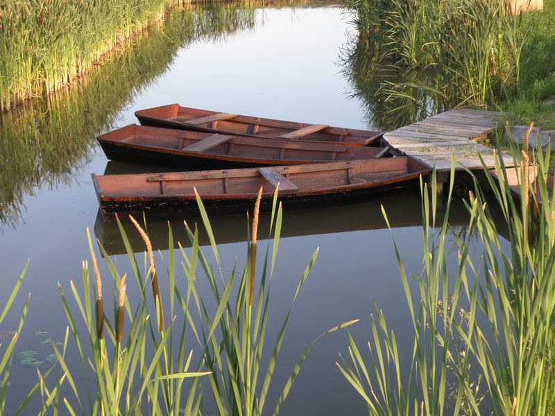 Od Šugavca postao ceo Dunav u Grockoj - Kaldrma.rs